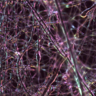 Sample Characterisation • Tiny Bright Things