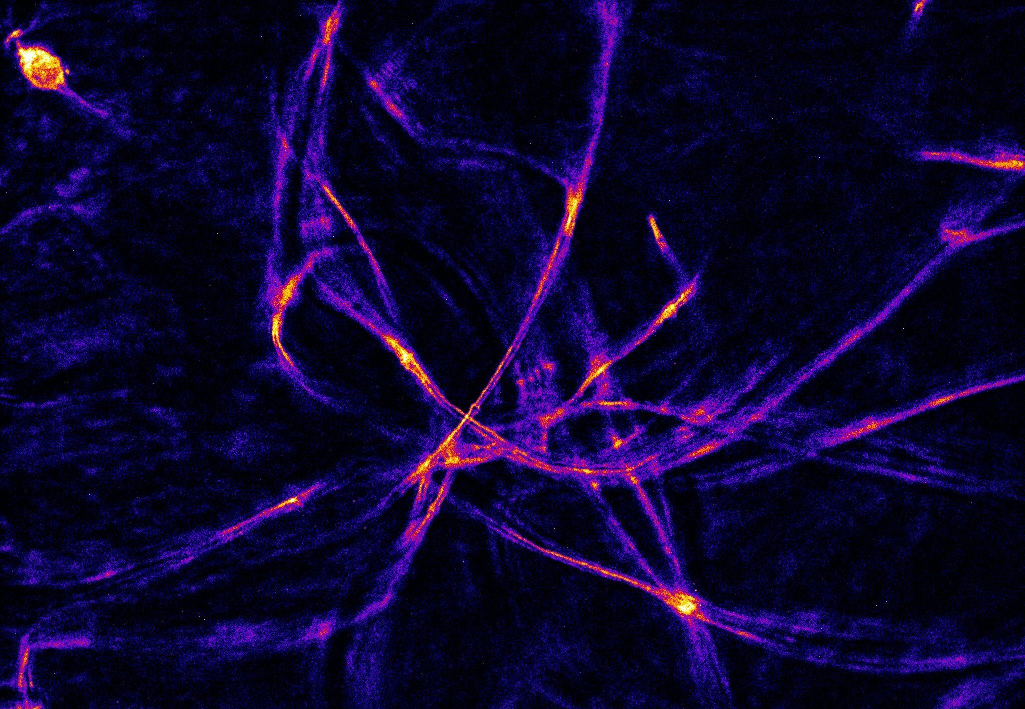 Image Processing Tiny Bright Things